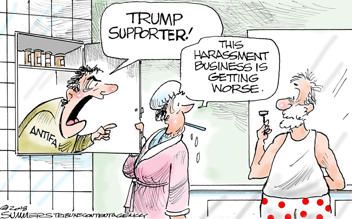 Political cartoon U.S. Trump supporter ANTIFA harassment voters | The Week