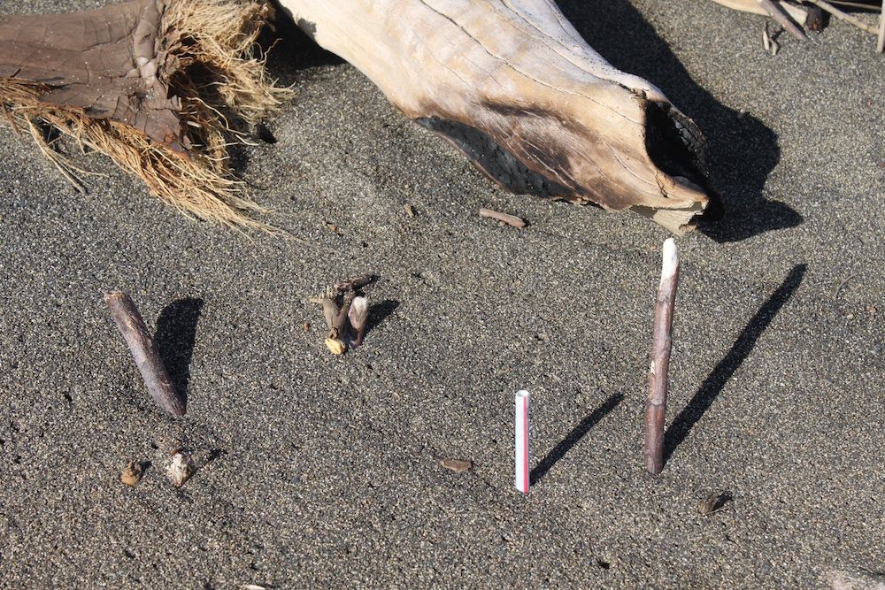 Marine Debris Pollution: Five Lessons Learned This Year (Op-Ed) | Live ...