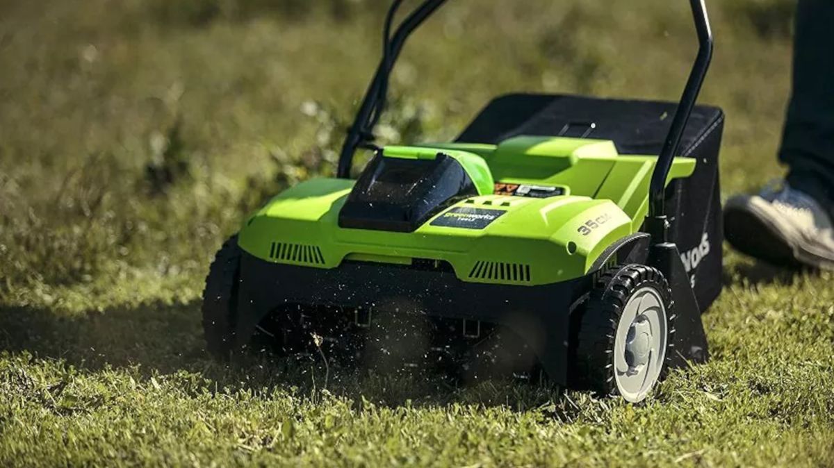 Scarifier vs dethatcher: experts explain the difference | Top Ten Reviews