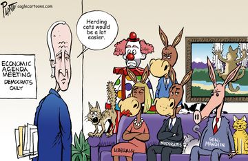 7 brutally funny cartoons about Democratic infighting | The Week
