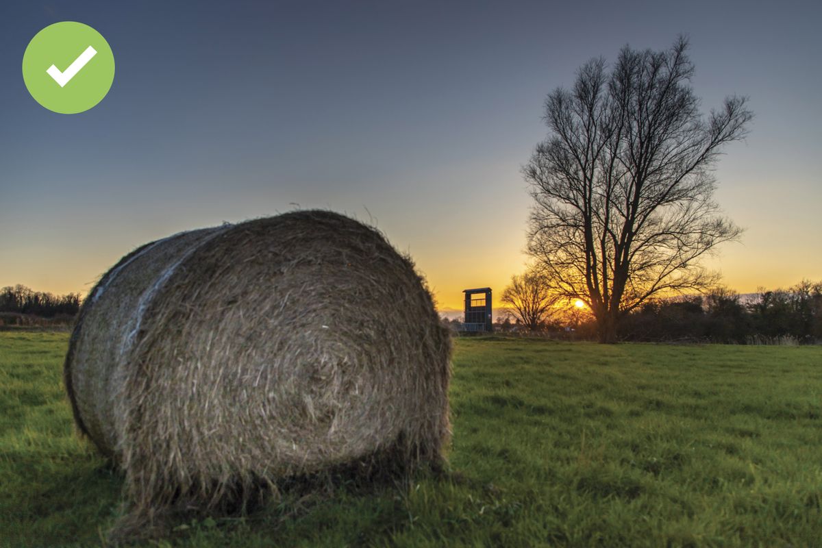 Landscape Photography Masterclass: Get to grips with composition ...