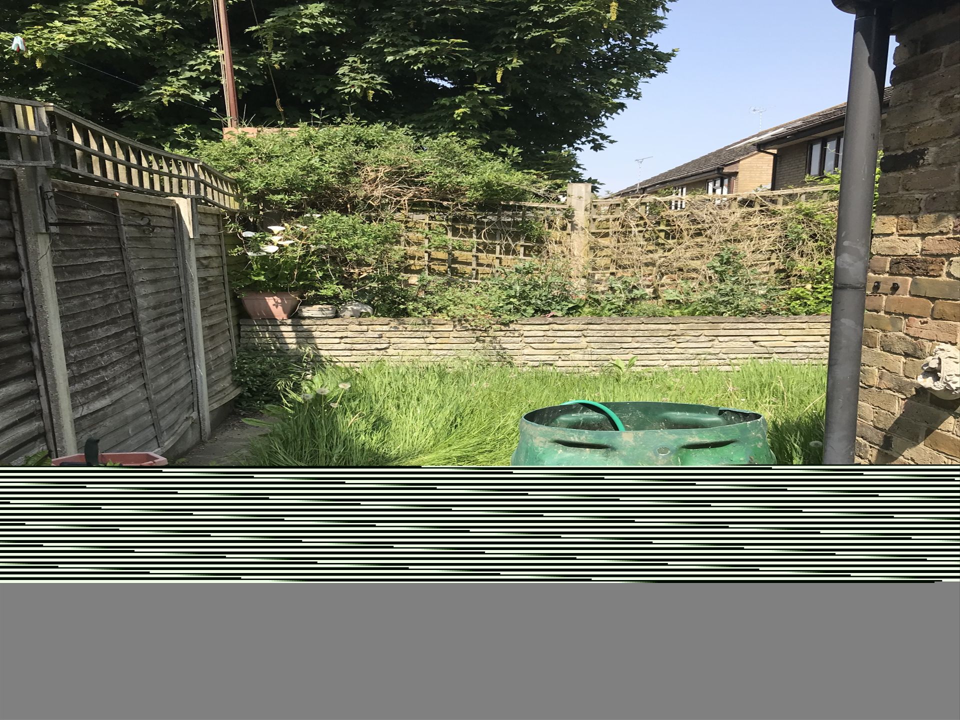 Before & after: Overgrown garden gets a glow up to become a charming ...