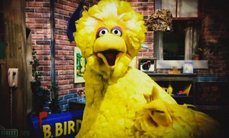 Anatomy of a campaign ad: 'Big Bird' | The Week