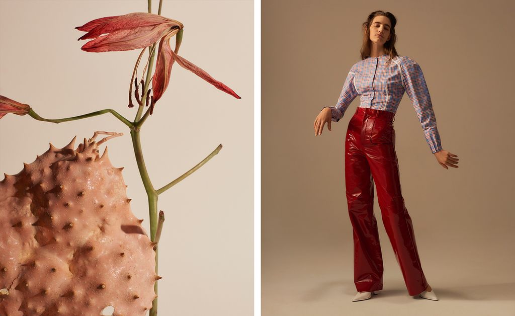 Second nature: sharp silhouettes and sculptural still lifes collide in ...