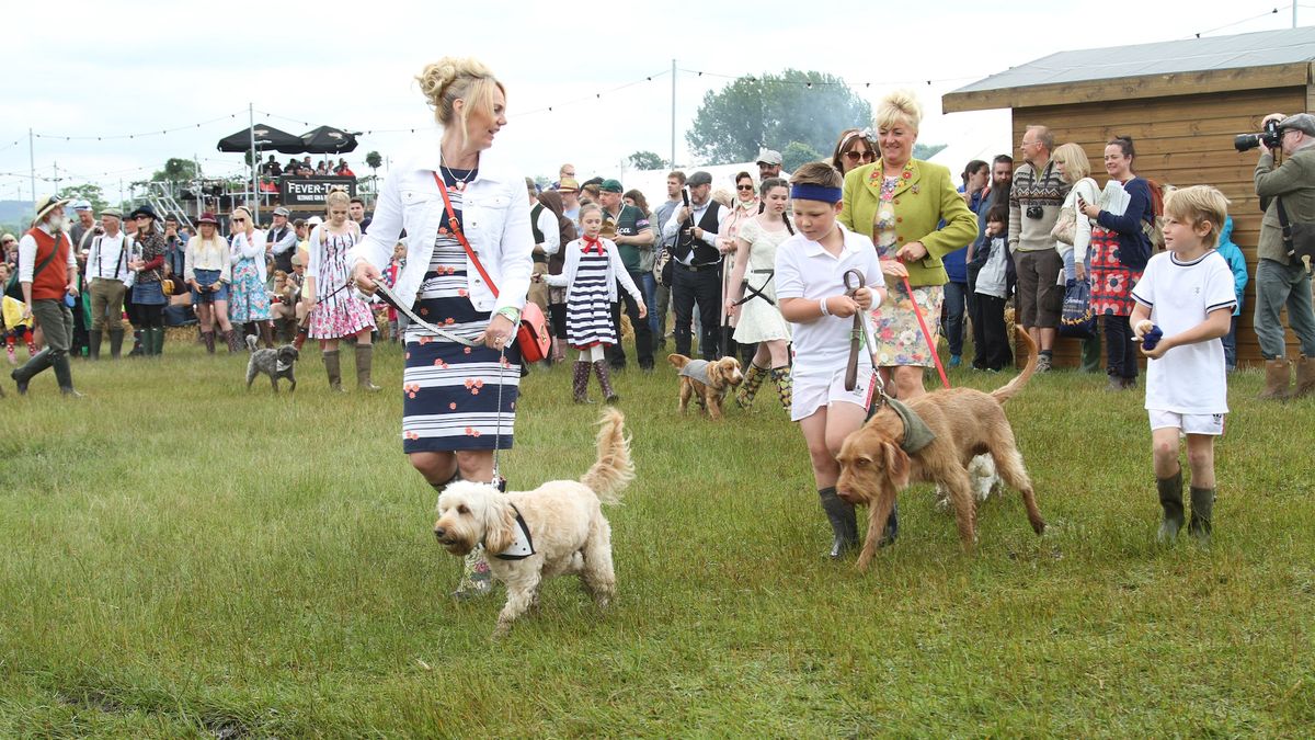 32 ways to build more fun into your dog’s routine | PetsRadar