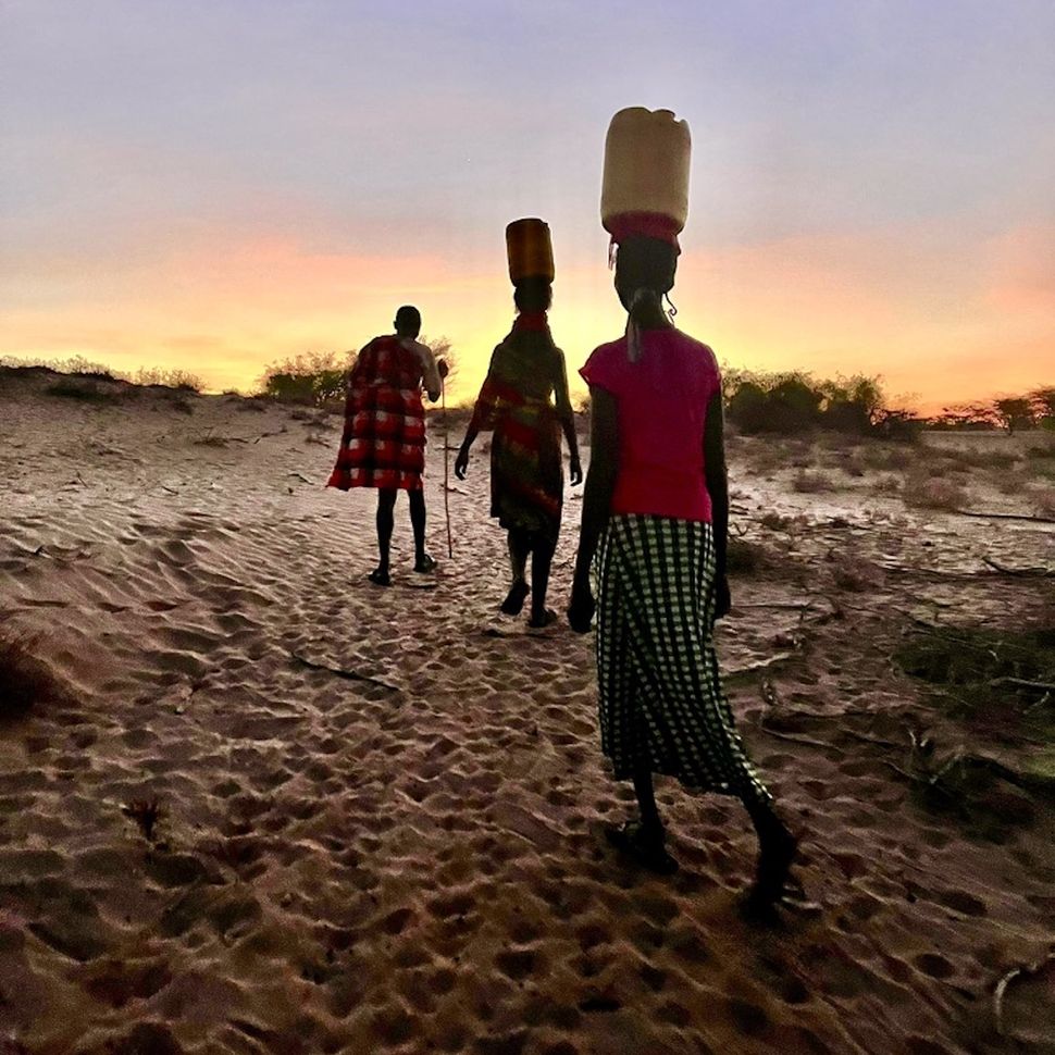 Unique gene variants in the Turkana people of Kenya may help them ...