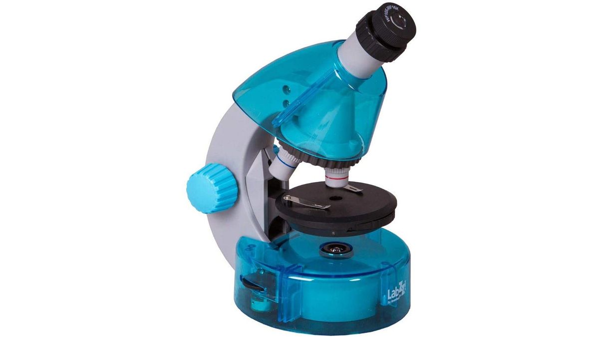 The best microscopes in 2023 | Digital Camera World