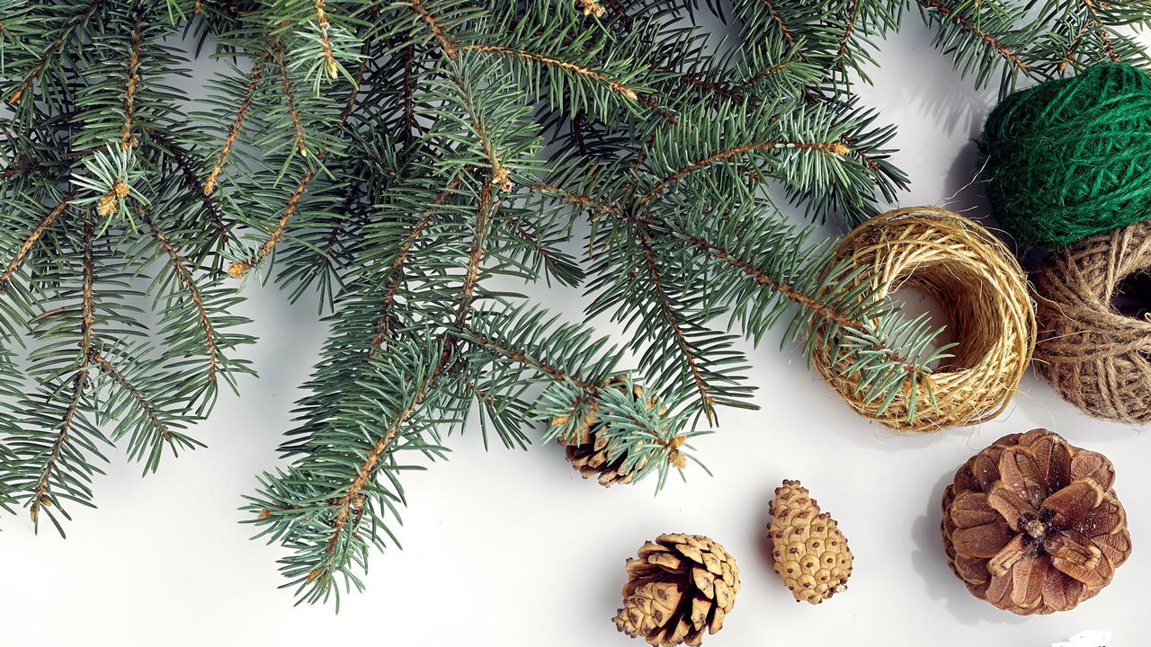 Mini Topiary Christmas Trees: Last-Minute Mini Tree Hack | Gardening ...