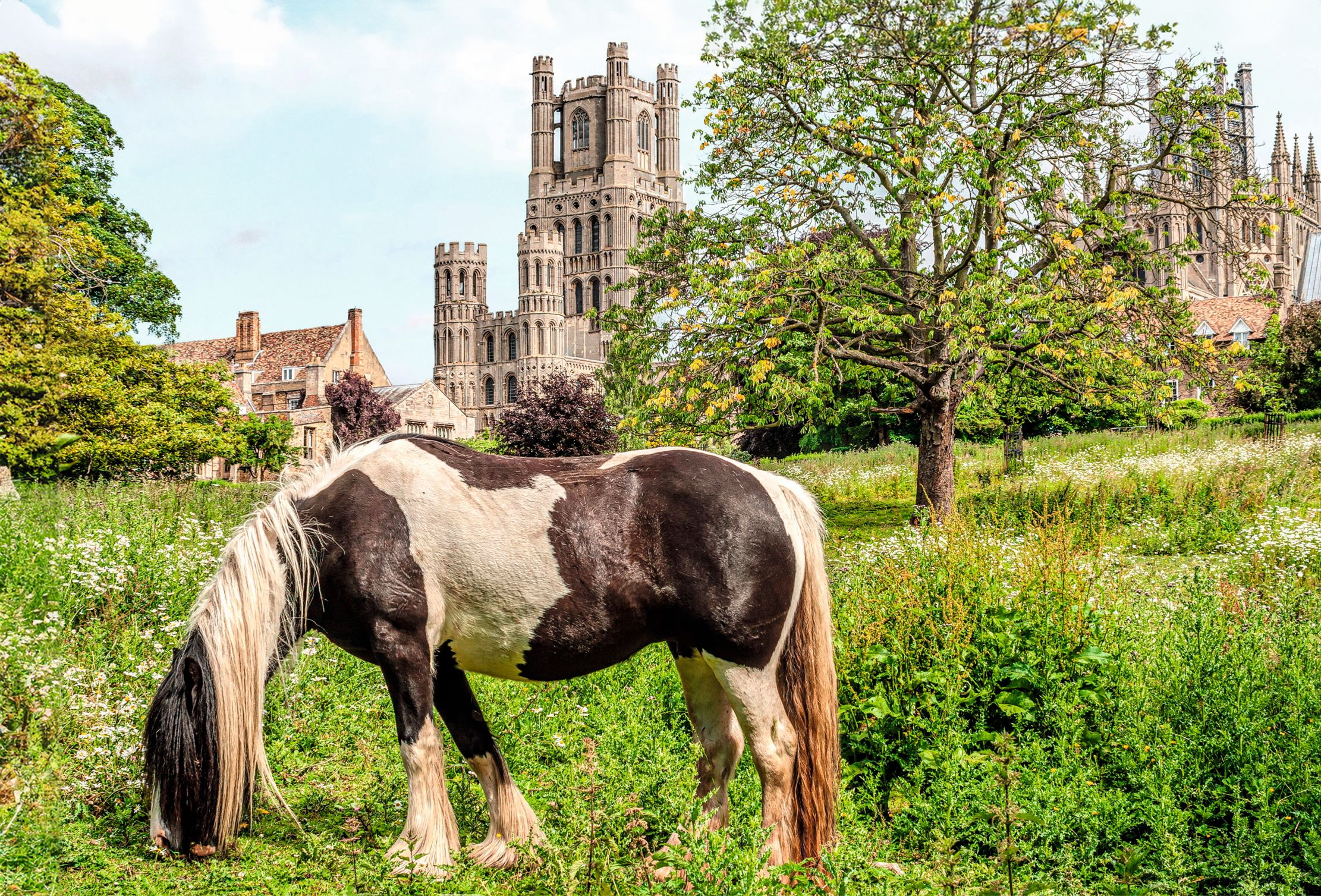 Eastern promises: The best places to live east of London, from Diss and ...