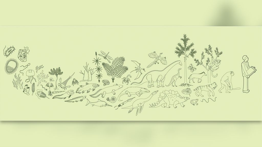 When did Homo sapiens first appear? | Live Science