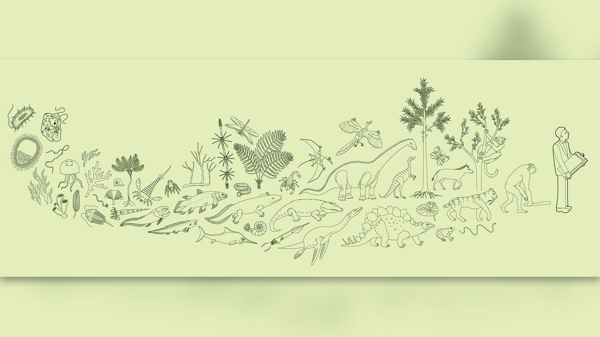 When did Homo sapiens first appear? | Live Science