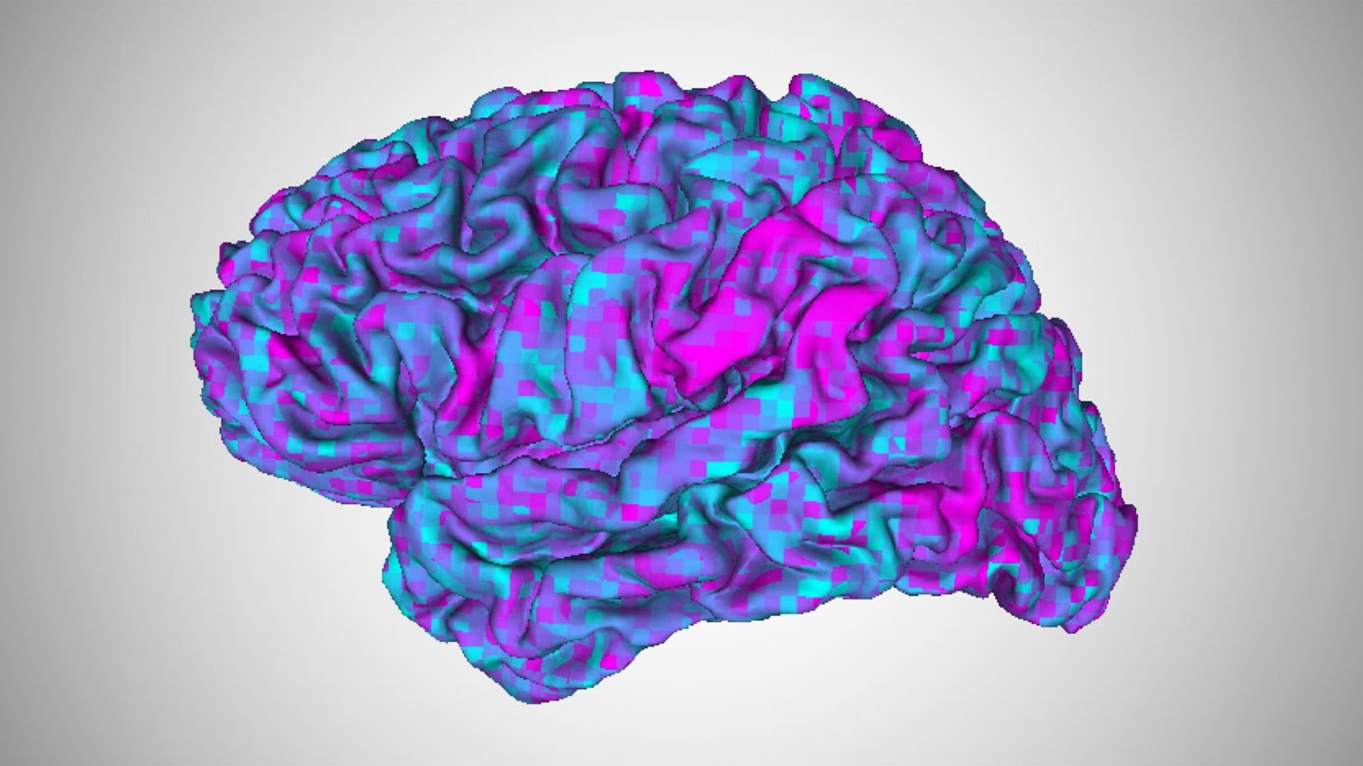AI 'brain decoder' can read a person's thoughts with just a quick brain ...