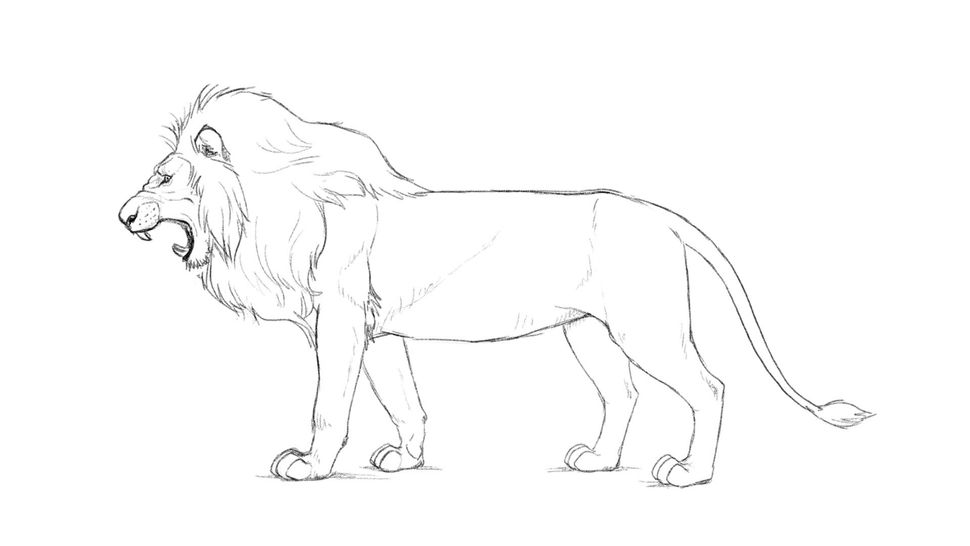 How to draw a lion | Creative Bloq