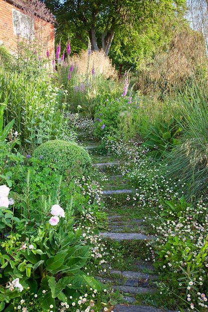 Real garden: take a tour of this thriving coastal garden | Real Homes