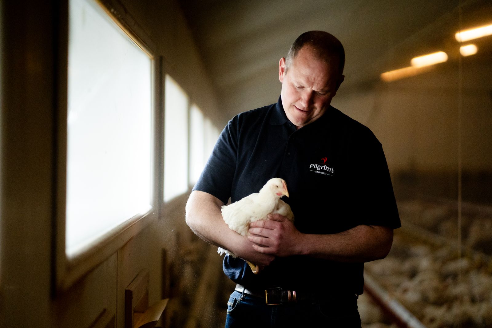 What the cluck? Waitrose announces ‘trailblazing’ pledge to help ...