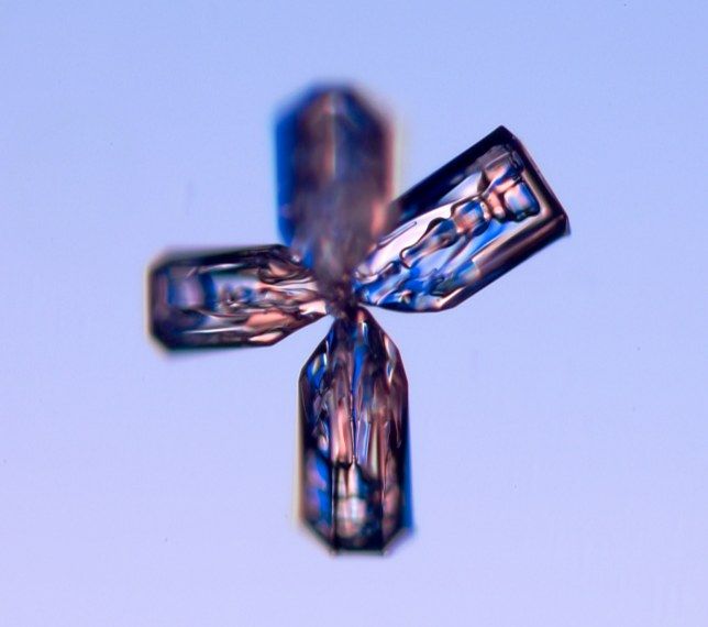 Images: The Artistry of Nature - Snowflakes Up Close | Live Science