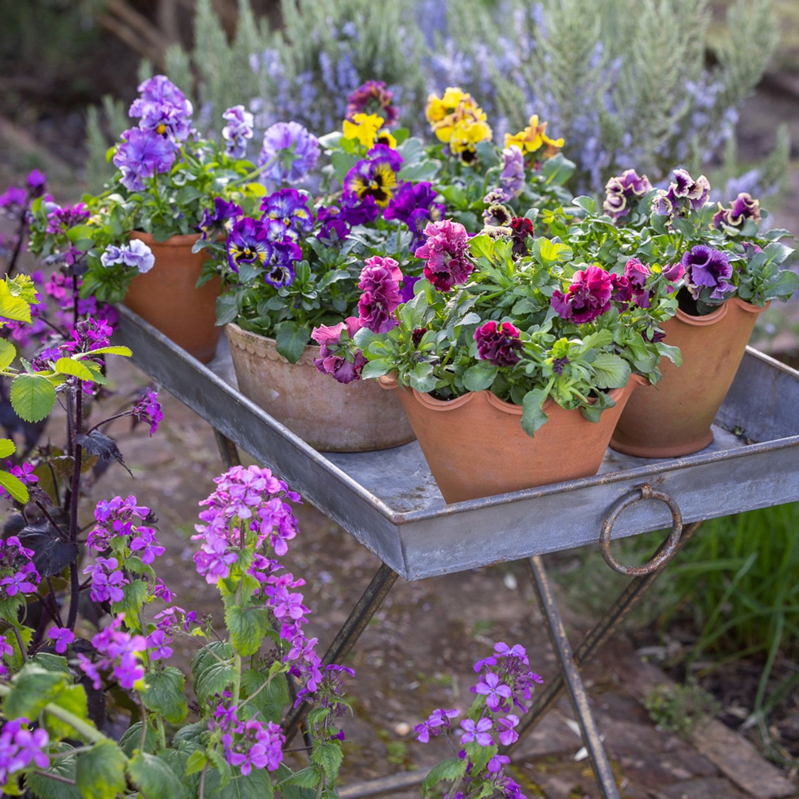 Scalloped plant pots are the cutest trend of this spring | Ideal Home