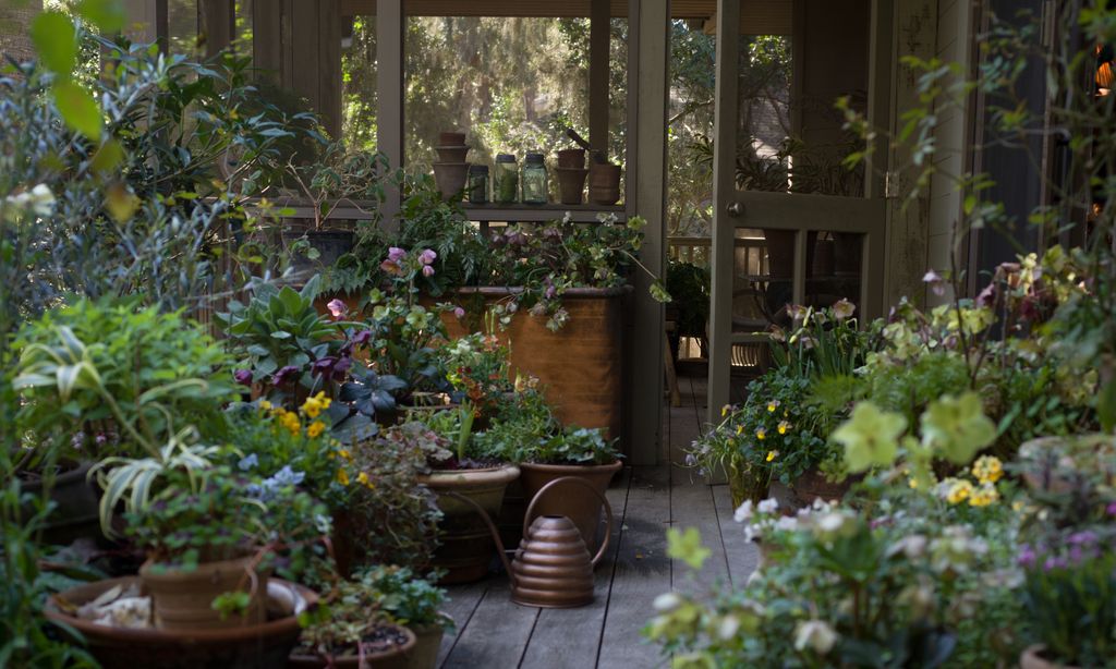 Naturalistic planting design: plants to use and design ideas | Homes ...