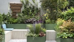 Best miscanthus varieties: 15 of the top ornamental grasses | Homes and ...