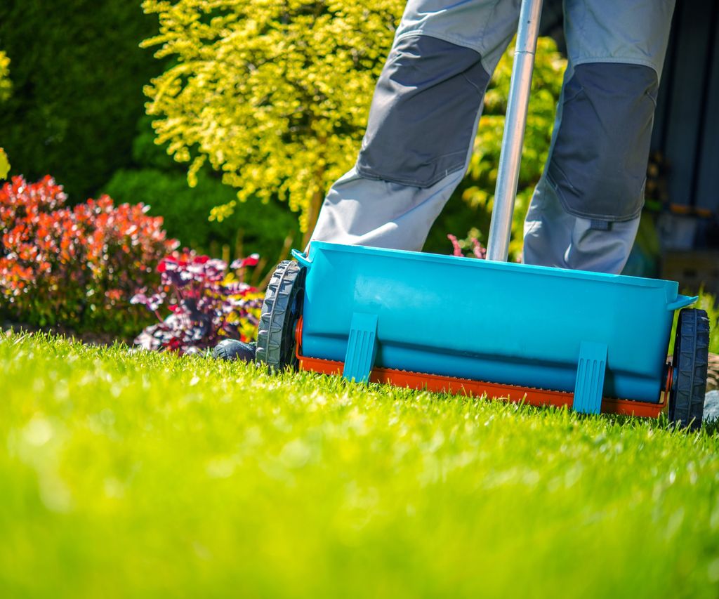 Spring lawn care - 7 tasks to complete for healthy grass | Homes and ...
