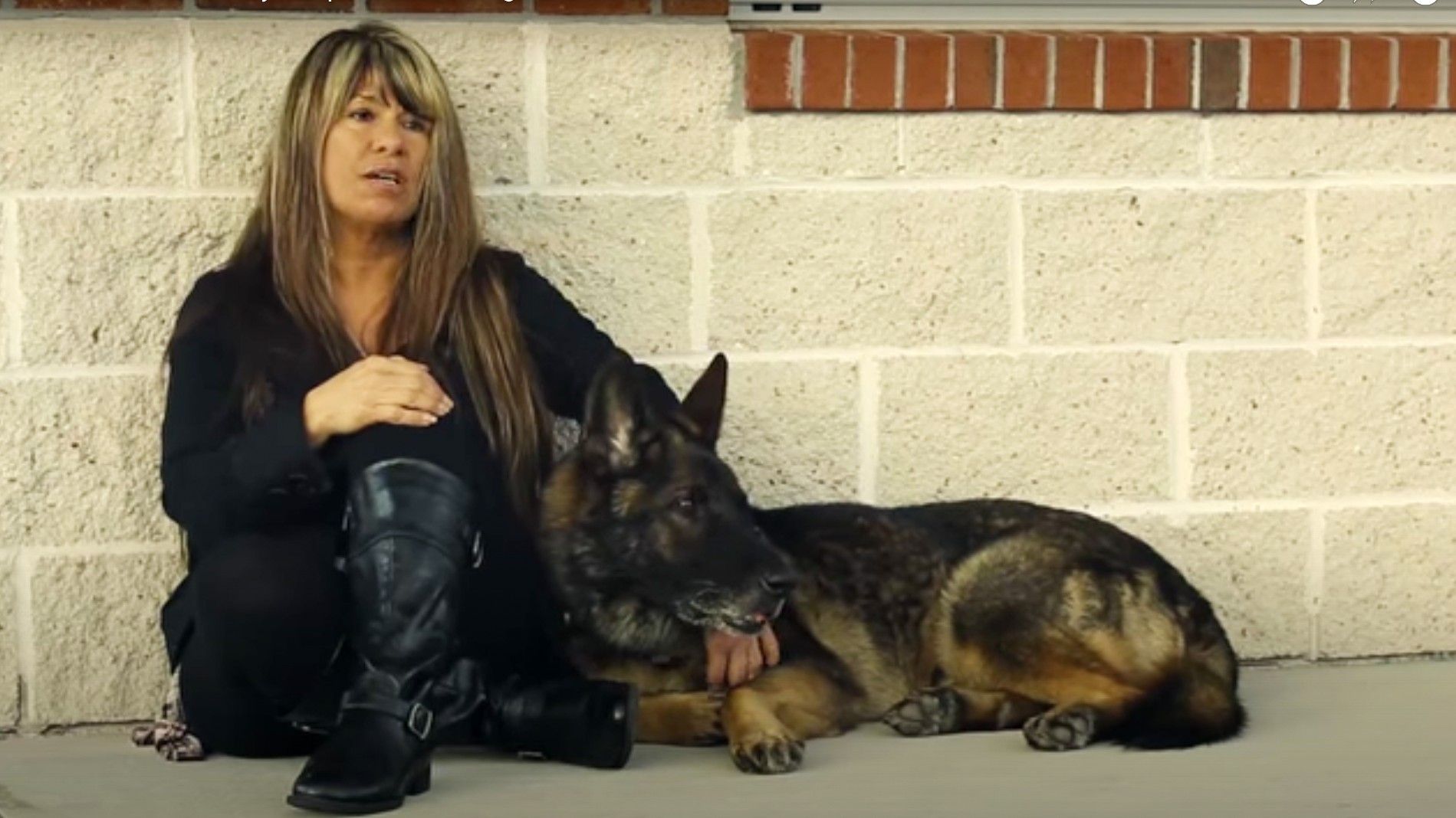 Mom adopts military service dog of son killed in action | PetsRadar
