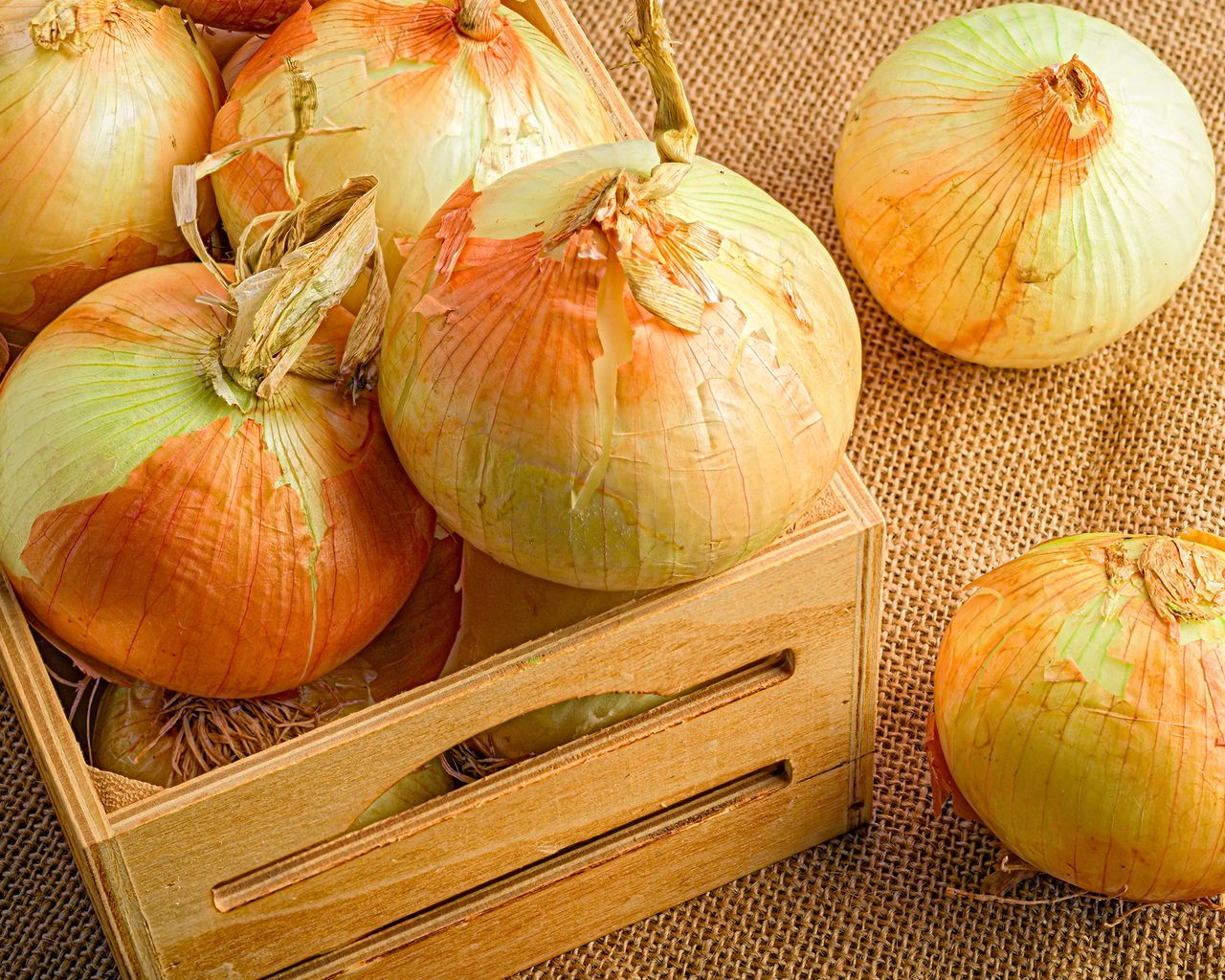 6 Golden Rules Of Harvesting Vegetables: For Perfect Produce ...