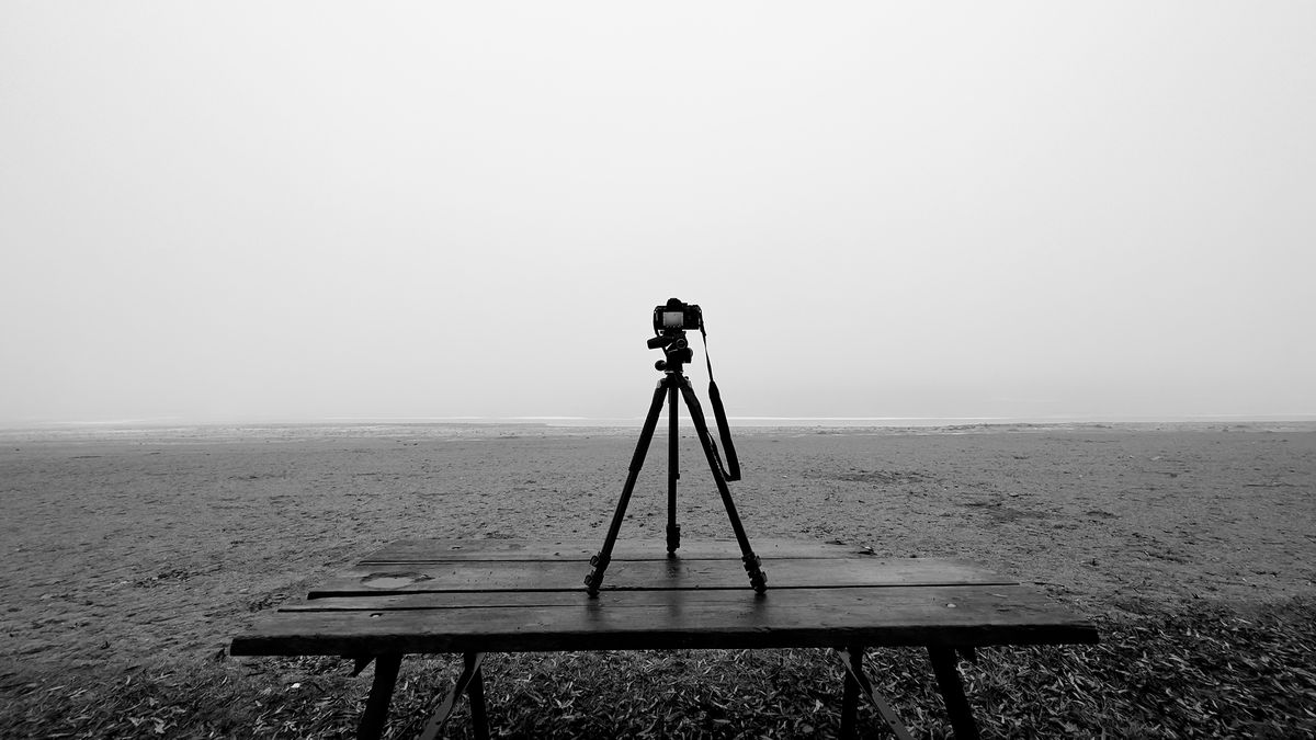 Wildlife photography with a twist: Capture birds in flight with this ...