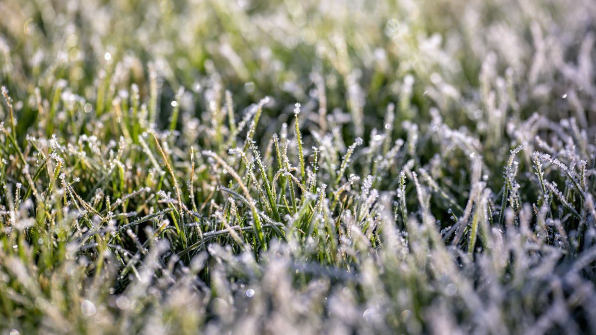 Winter lawn care: 8 steps to take to protect it | Homes and Gardens