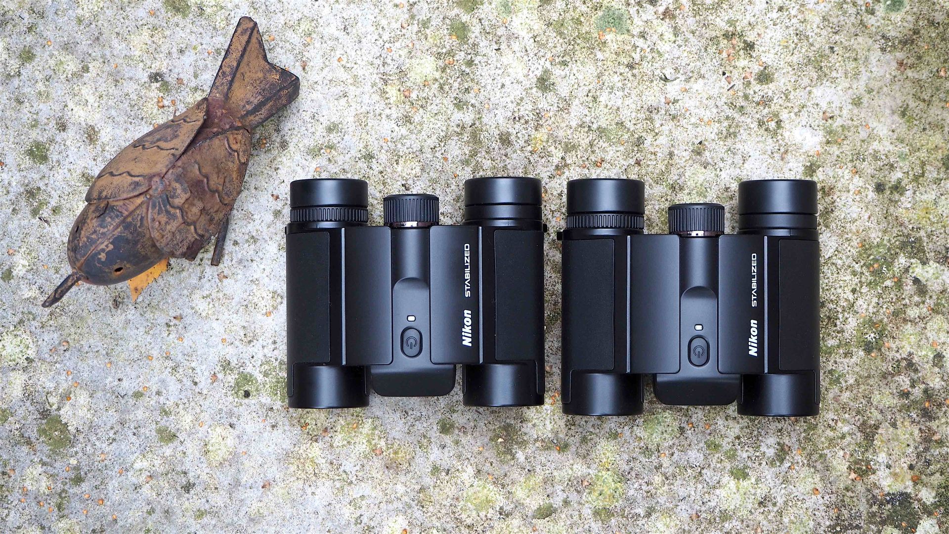 Nikon Stabilized 12x25 S and 10x25 S binoculars review: can this pair ...