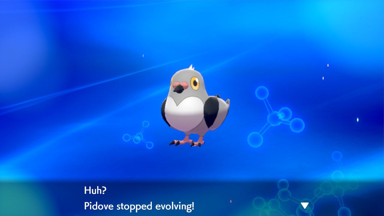 Pokemon Sword and Shield Everstone: How to get an Everstone and stop ...