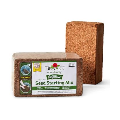 How to plant hosta seeds: an expert guide | Homes and Gardens