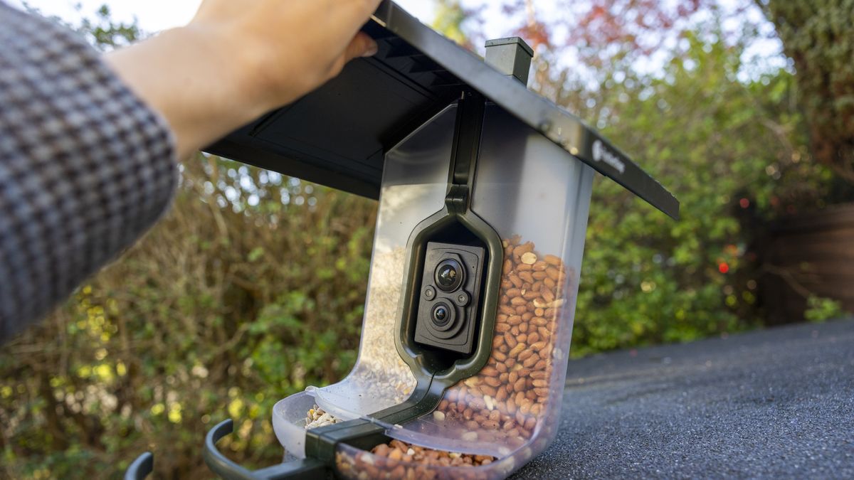FeatherSnap Scout bird feeder camera review: less smart and more manual ...