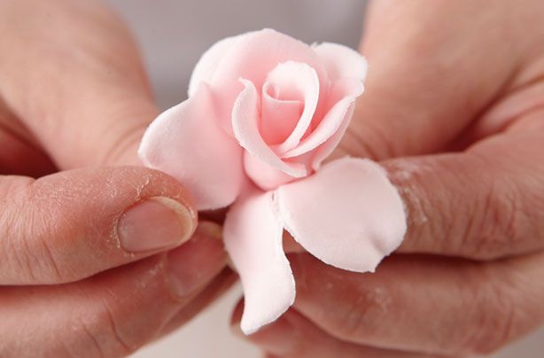 How to make sugar roses | GoodtoKnow