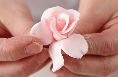 How to make sugar roses | GoodtoKnow