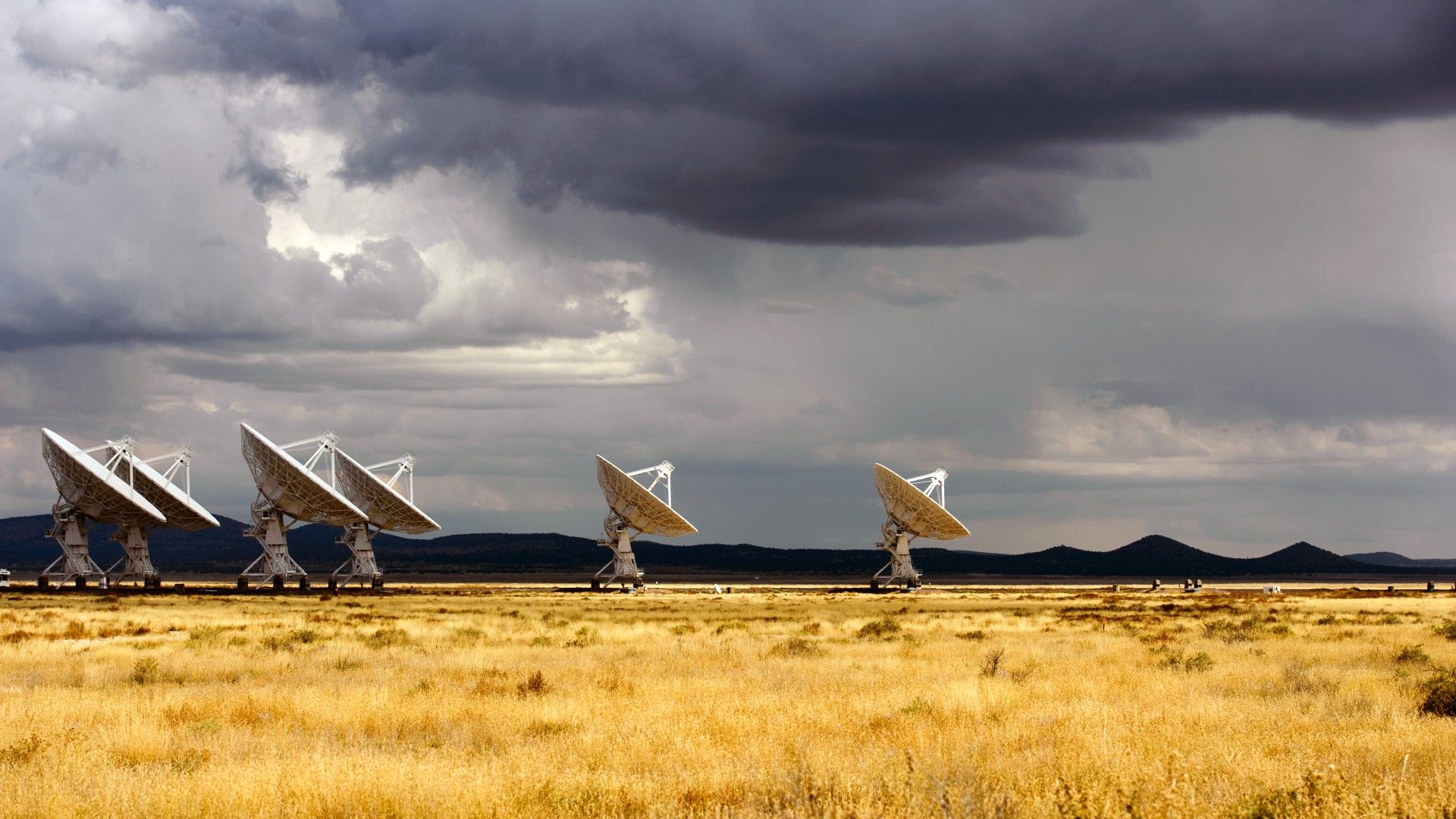 SETI chief says US has no evidence for alien technology. 'And we never ...