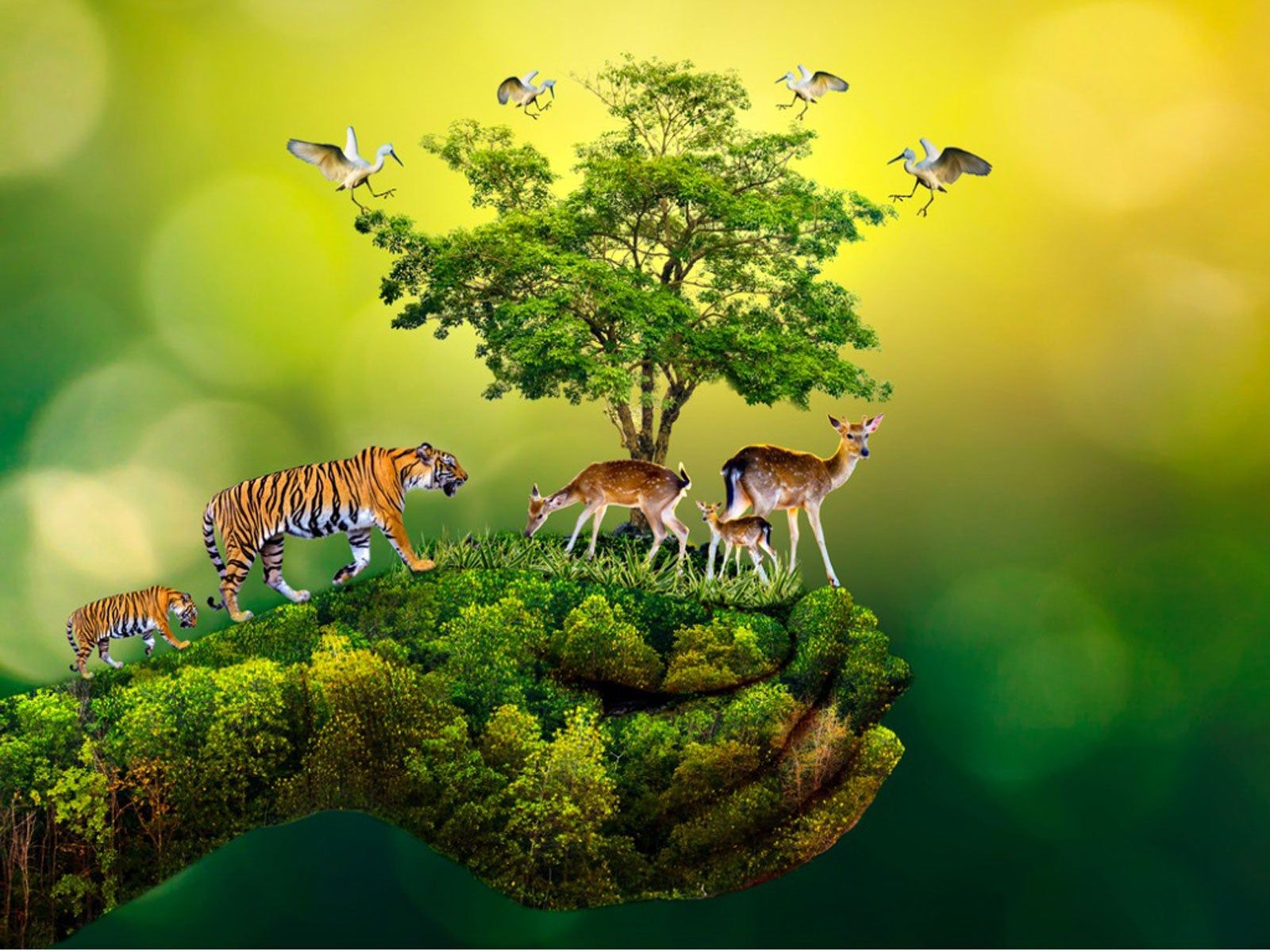 Zoo Garden Theme - How To Create A Zoo Garden For Kids | Gardening Know How