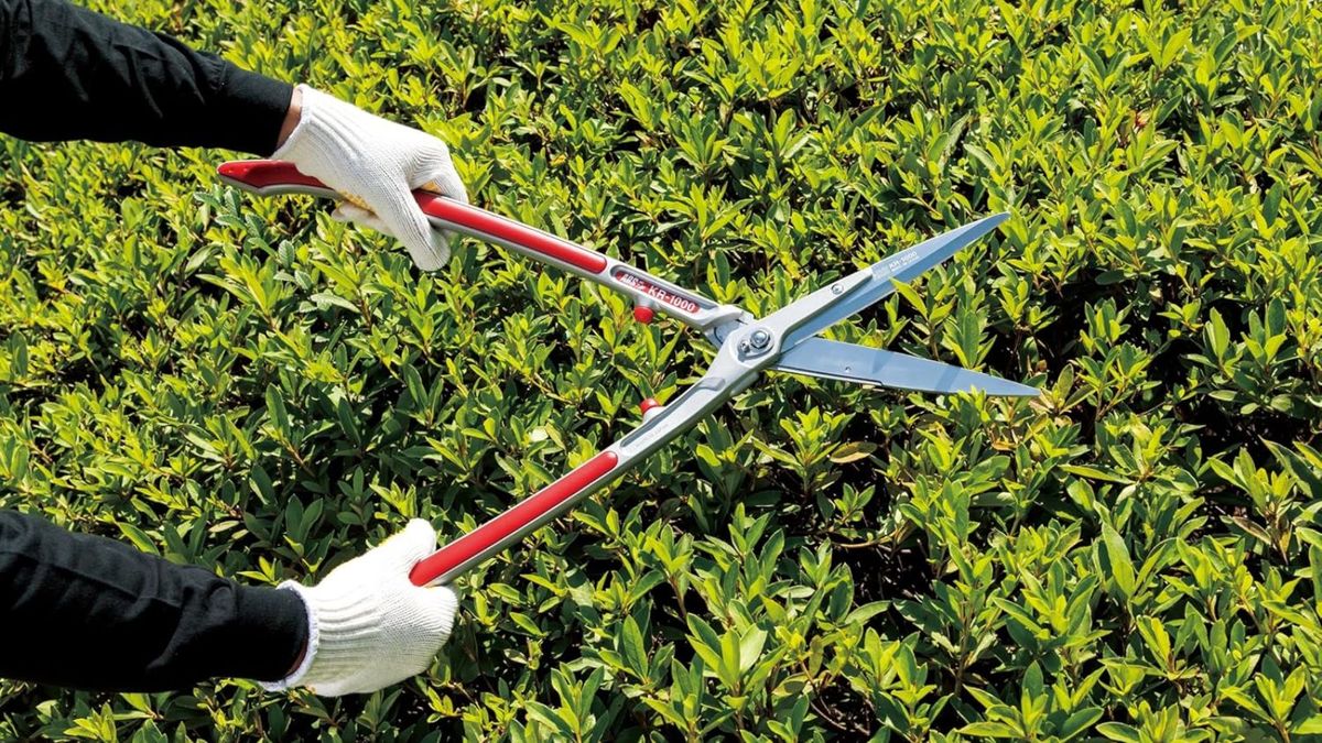 Best hedge shears – a garden product tester reveals the best | Homes ...