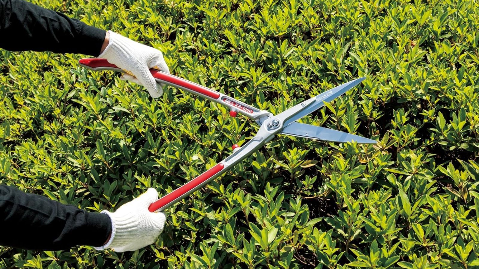 Best hedge shears – a garden product tester reveals the best | Homes ...