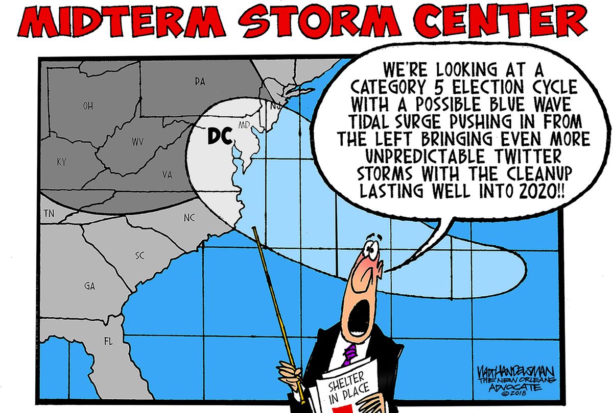 Political cartoon U.S. midterm elections blue wave twitter | The Week