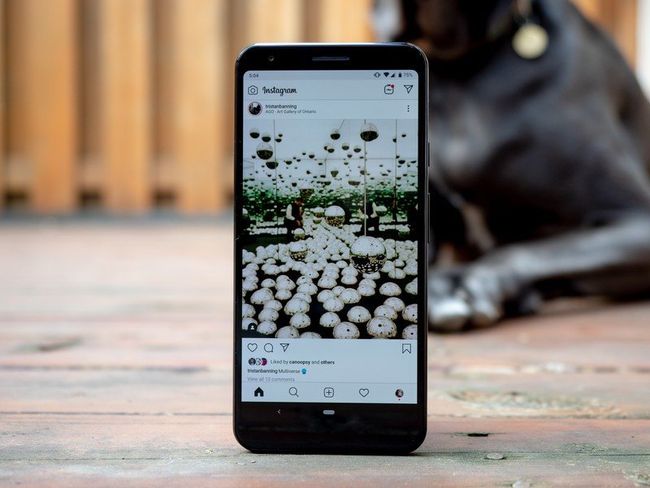 Google Pixel 3a Review (and XL): Camera, Battery Life, & Features ...