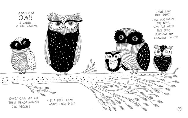 10 Amazing Animal Facts, Illustrated | Live Science