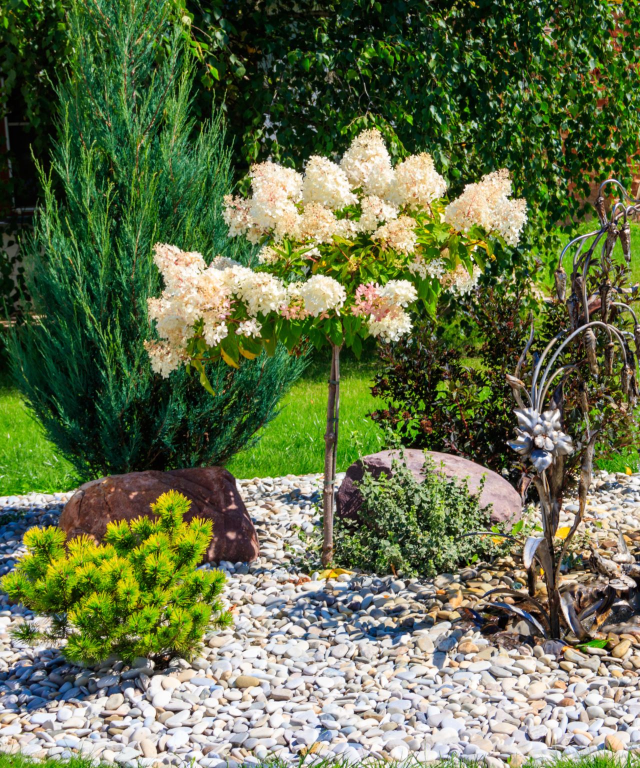 Best Hydrangea By Zone – Find The Right One For Your Climate ...