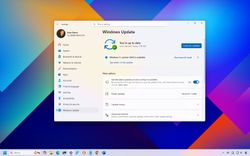 Download the official Windows 11 version 25H2 RTM ISOs here | Windows Central