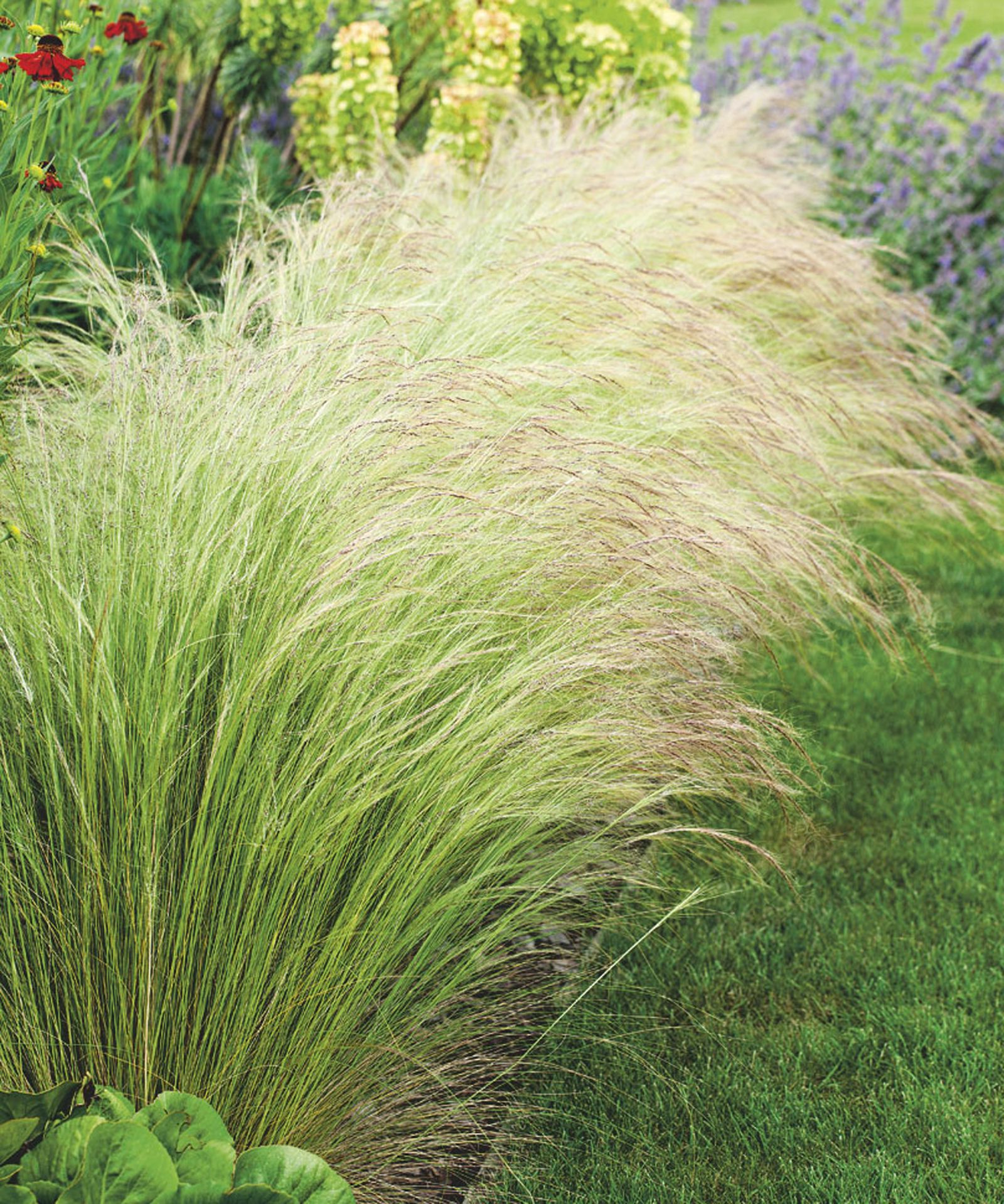 Best plants for small gardens: 22 stunning choices for compact plots ...