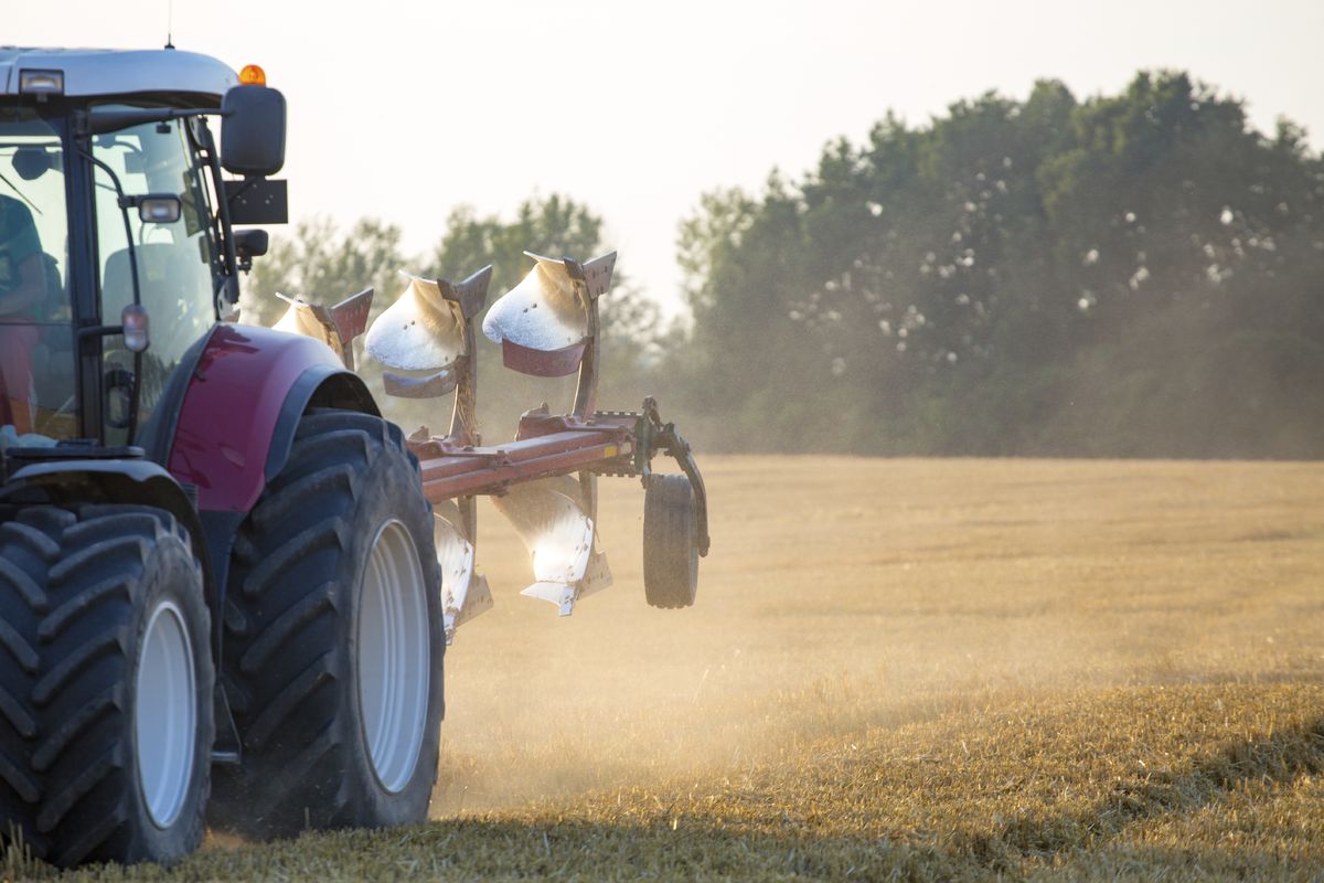 What rural businesses are doing to survive — and thrive | The Week