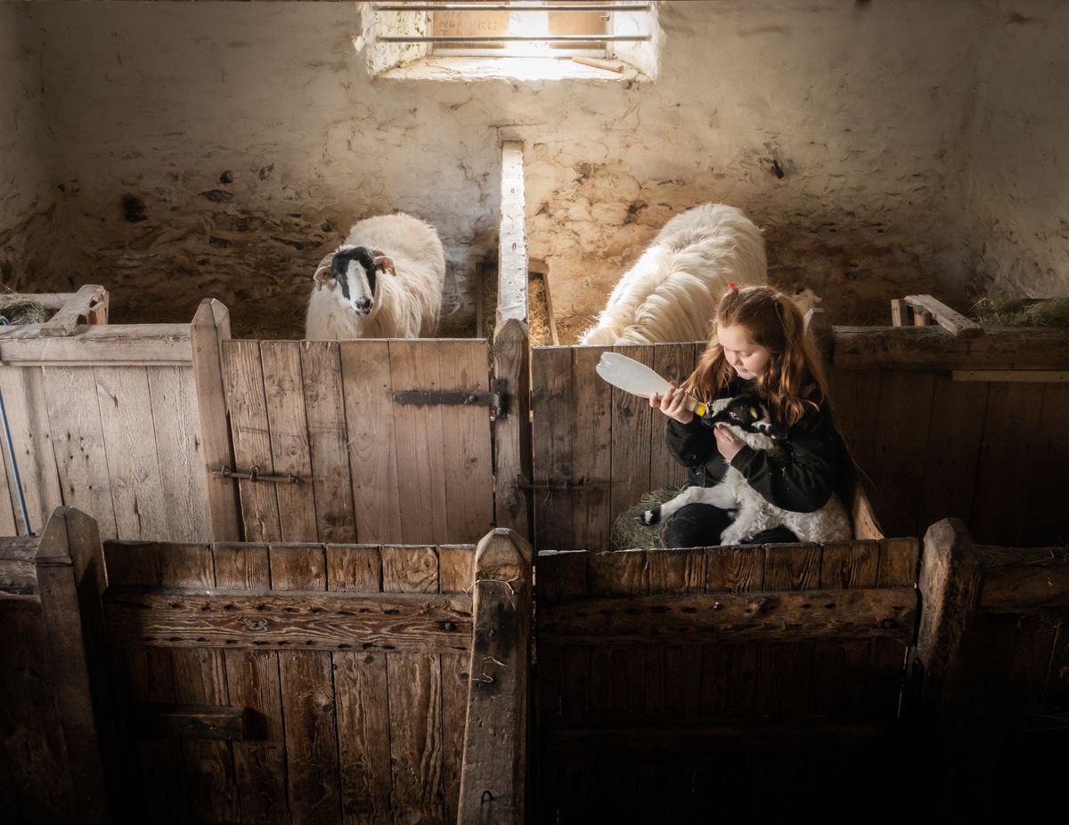 How photographer Amy Bateman went from novice to fully-fledged ...