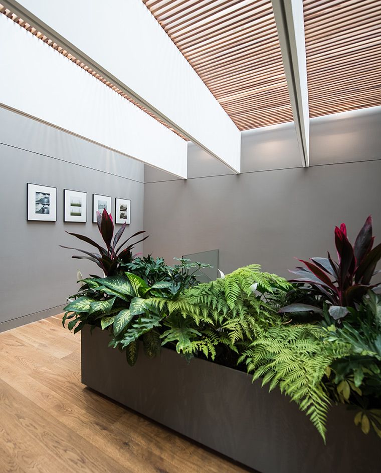 Casa Ramos makes the most of its awkward Mexico City plot | Wallpaper