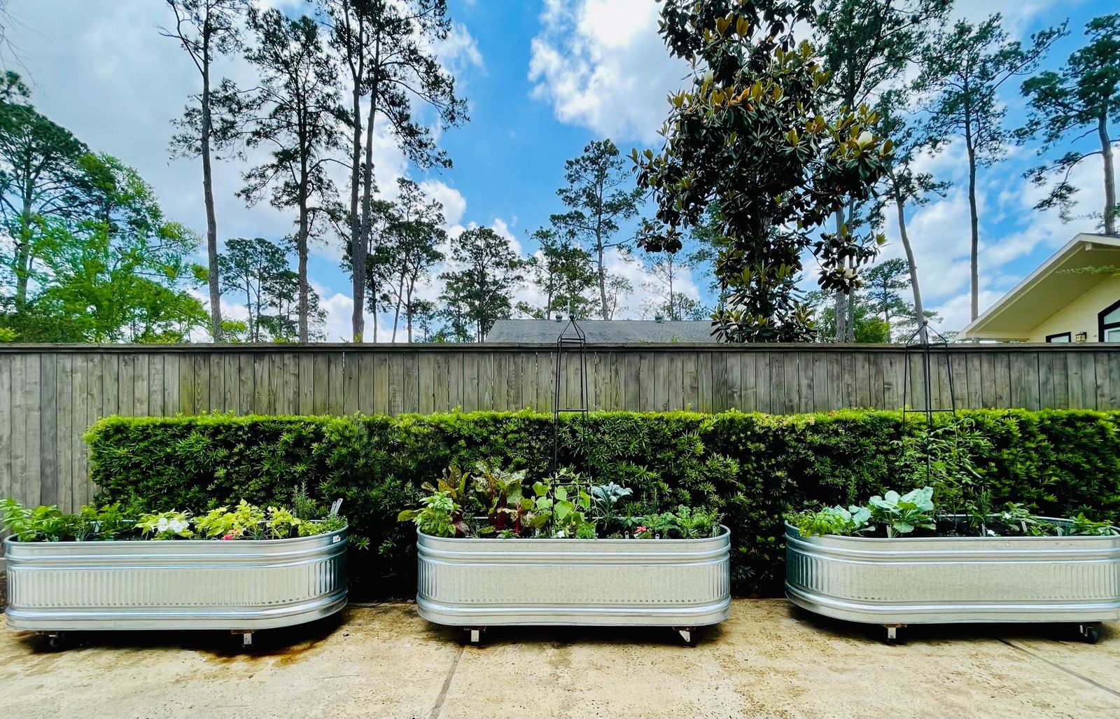 "Edible Front Yards" Are the Landscaping Trend That Give Growing ...