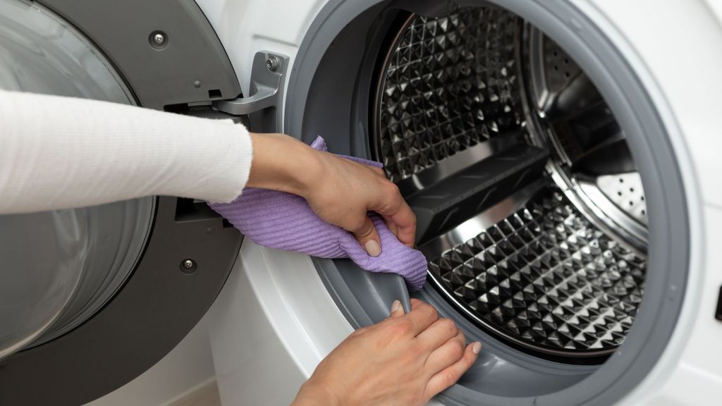 Stubborn mold in your washing machine seal? Here’s how to get rid of it ...