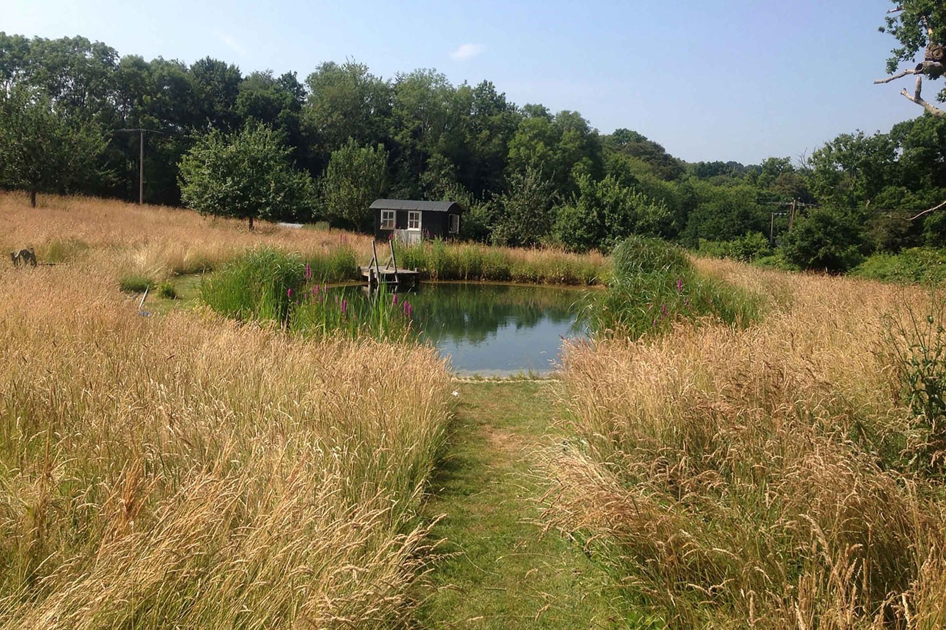 Natural pools: 10 stunning designs and ideas for backyard swimming ...